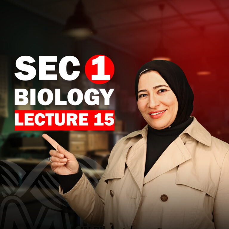 Dr Marwa Hamdy